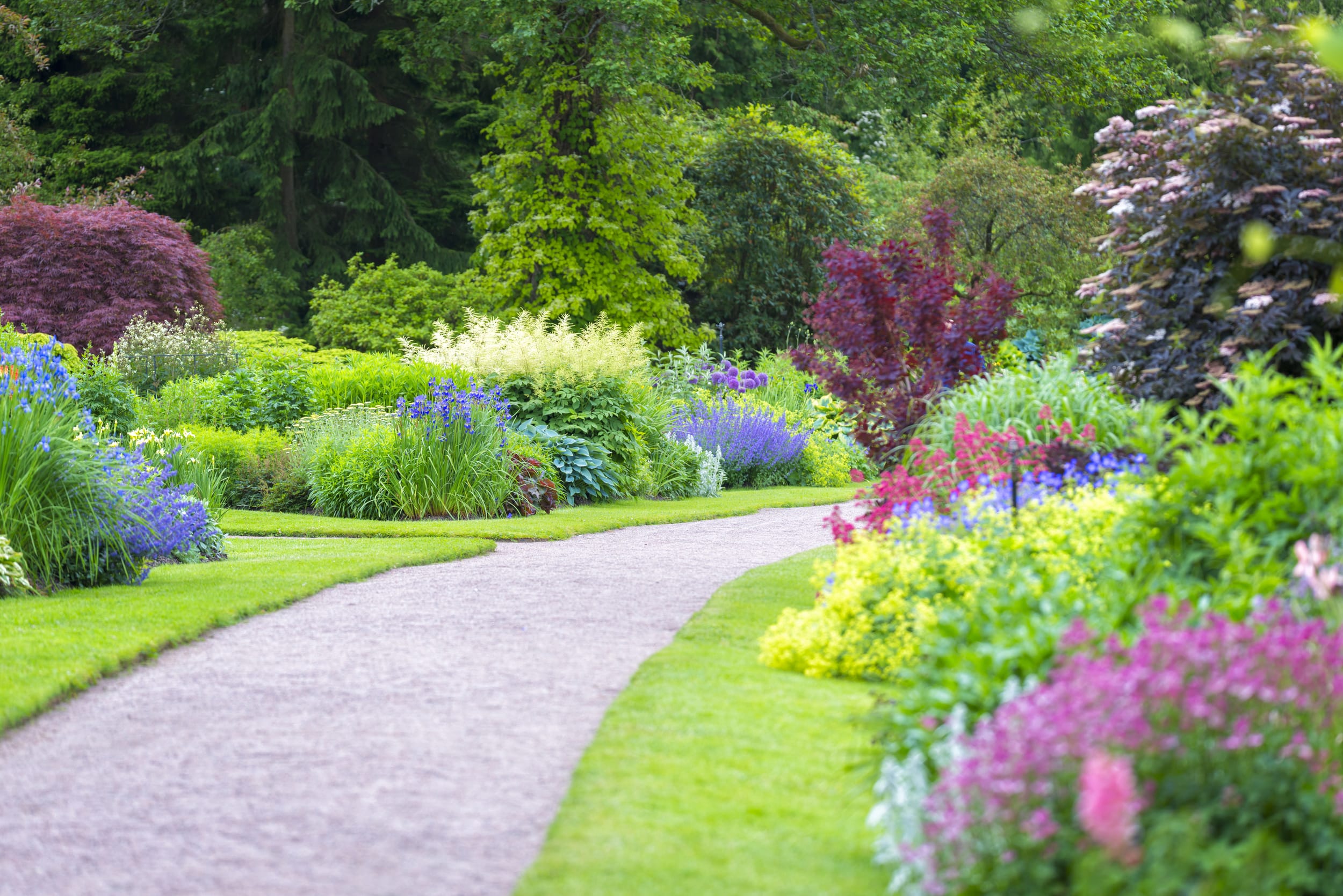 JMJ Hort - Landscape Design Reston VA